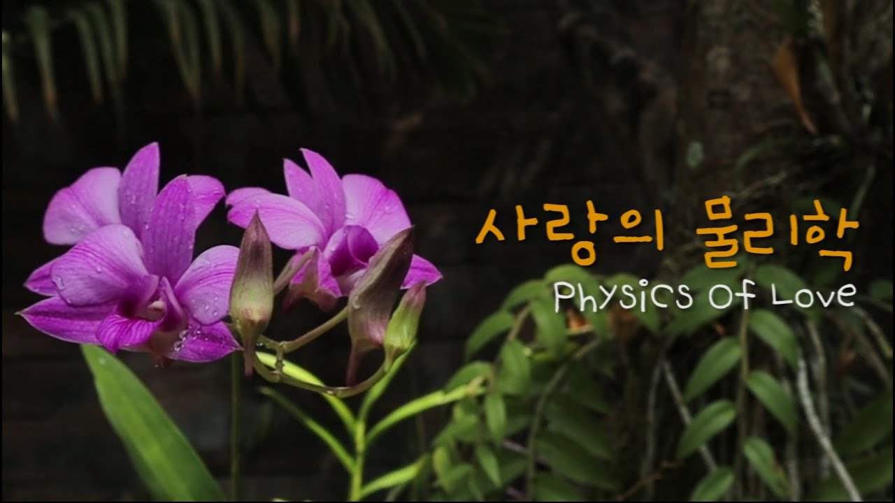 Physics Of Love (사랑의 물리학) Poem By Kim In Yook - YouTube