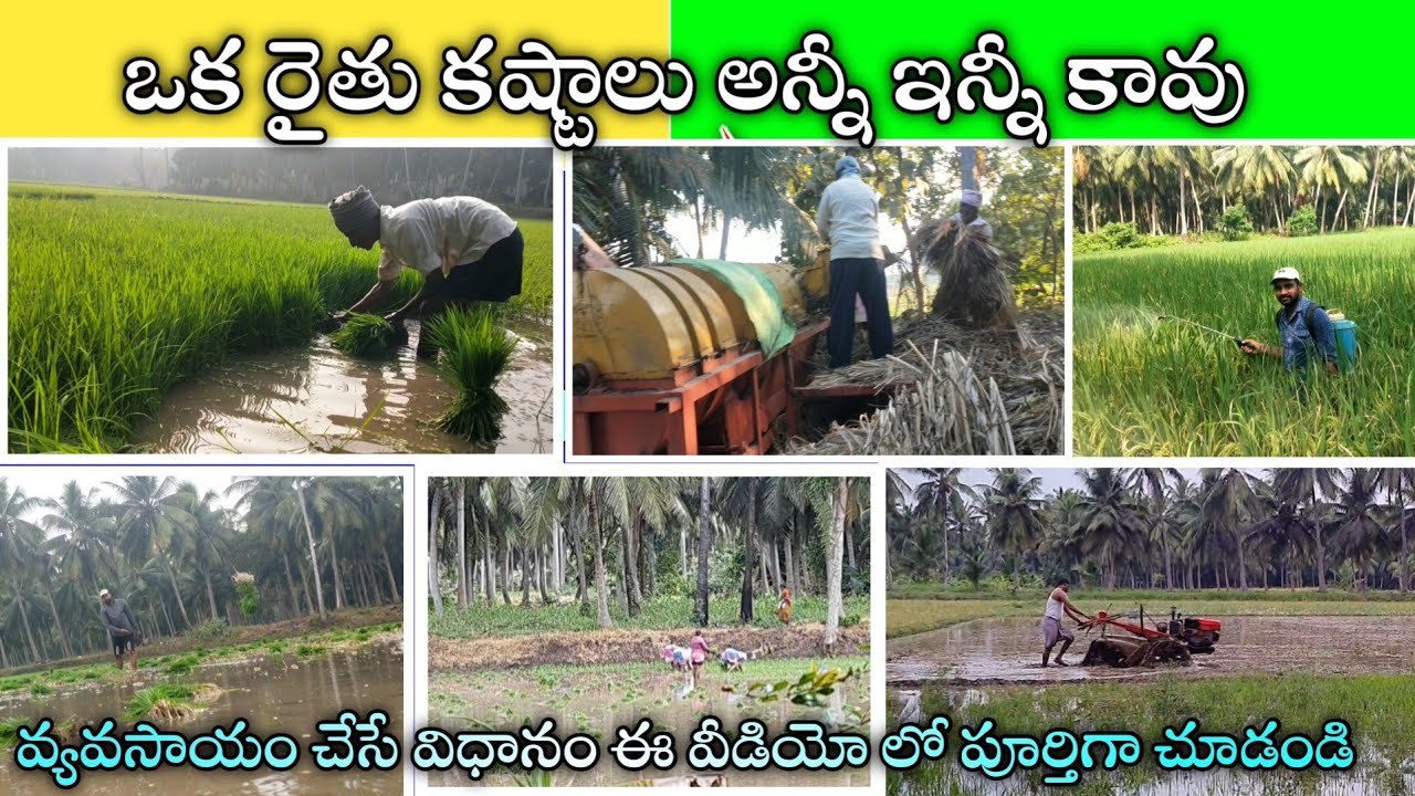 Vyavasayam full details telugu - vari sagu star to end - vari former ...