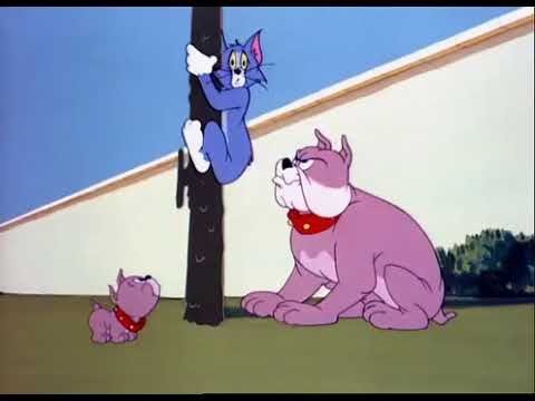 ᴴᴰ Tom and Jerry, Episode 76 - That's My Pup [1952] - P3/3 | TAJC | Duge Mite