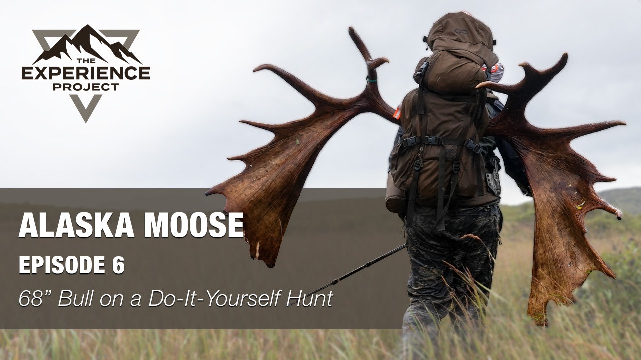 HUNT Episode 6 — Steve's 68" Bull Moose in Alaska — The Experience ...