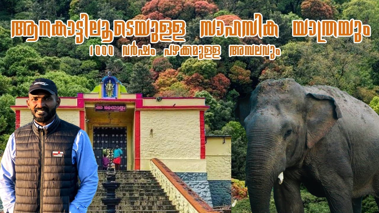 ആനകാട്ടിലൂടെയുള്ള സാഹസിക യാത്രയും 1000 വർഷം പഴക്കമുള്ള അമ്പലവും ...