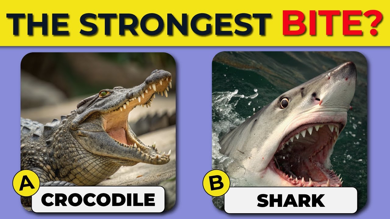What Do You Know About ANIMALS? 🧠 🦁🐧 40 Animals Knowledge Trivia Quiz ...