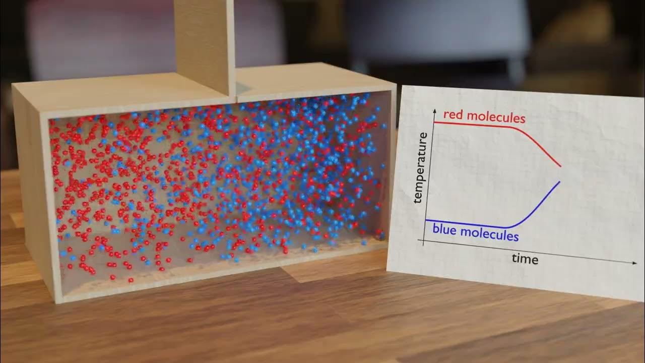 Animation 2 - Thermal Equilibrium - YouTube
