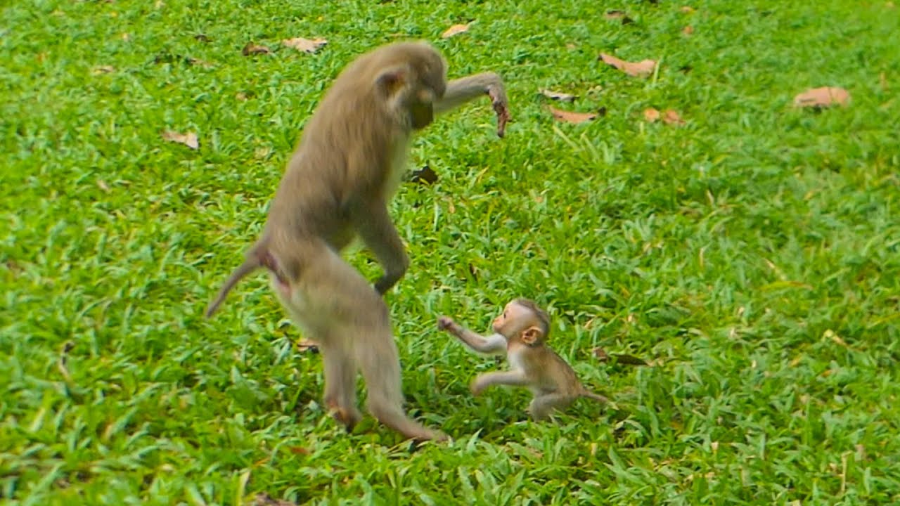 Joyce shows her dancing style to her baby Jacee it is so humorous😅😅 ...