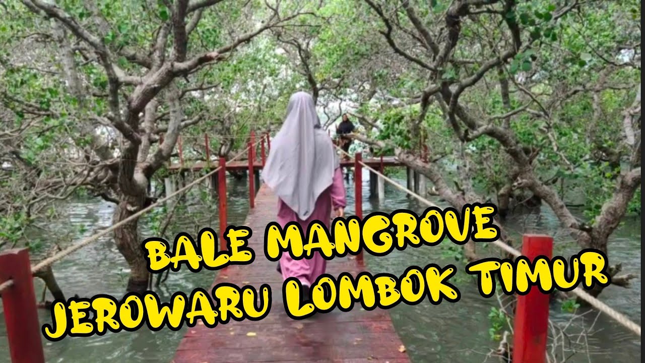Bale Mangrove, Jerowaru Lombok Timur #popular #wisatapantai #mangrove # ...