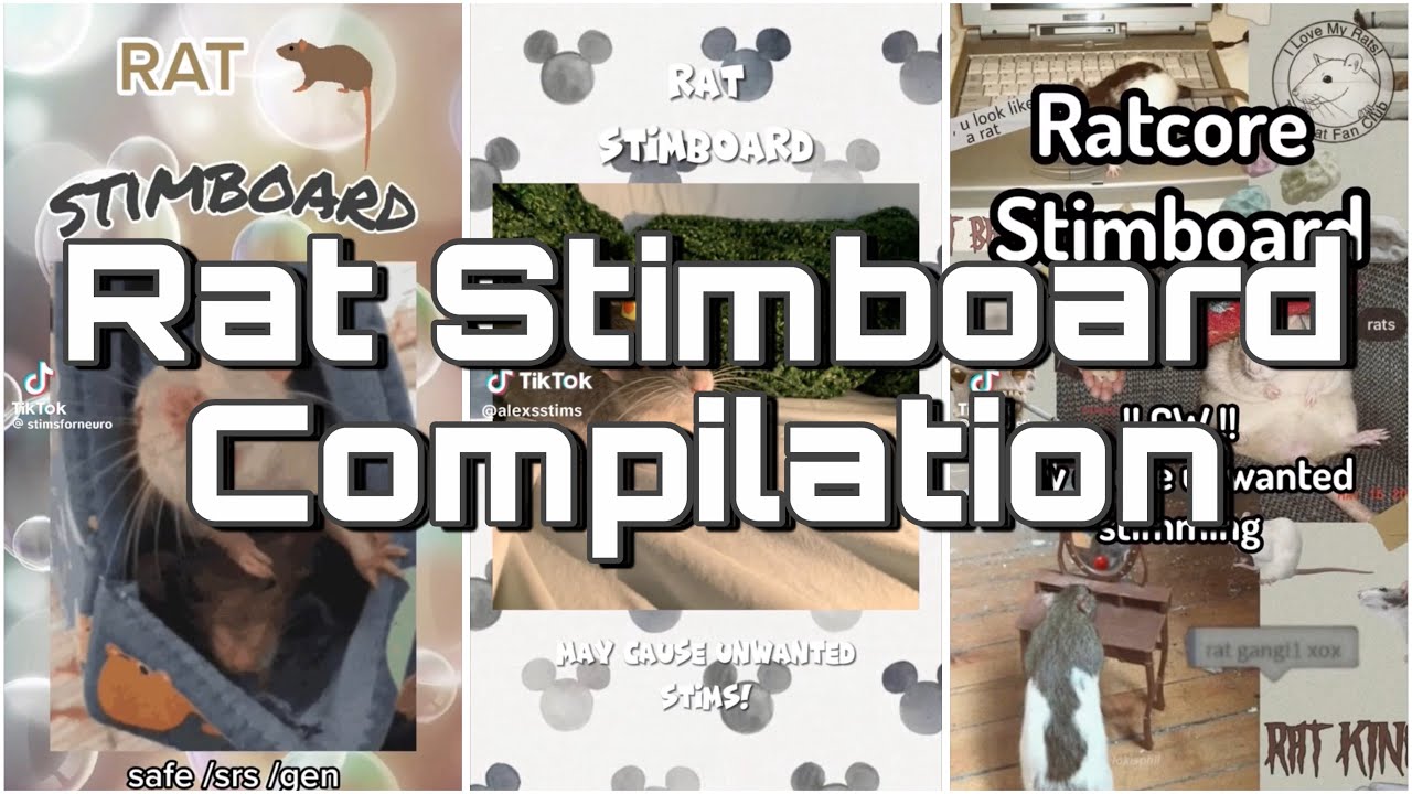 || Rat Stimboard Compilation || (Request by @Qubix-rubik) - YouTube