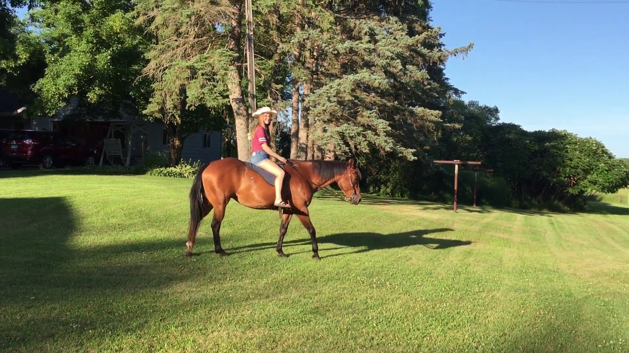 Horse back ride 2019 - YouTube