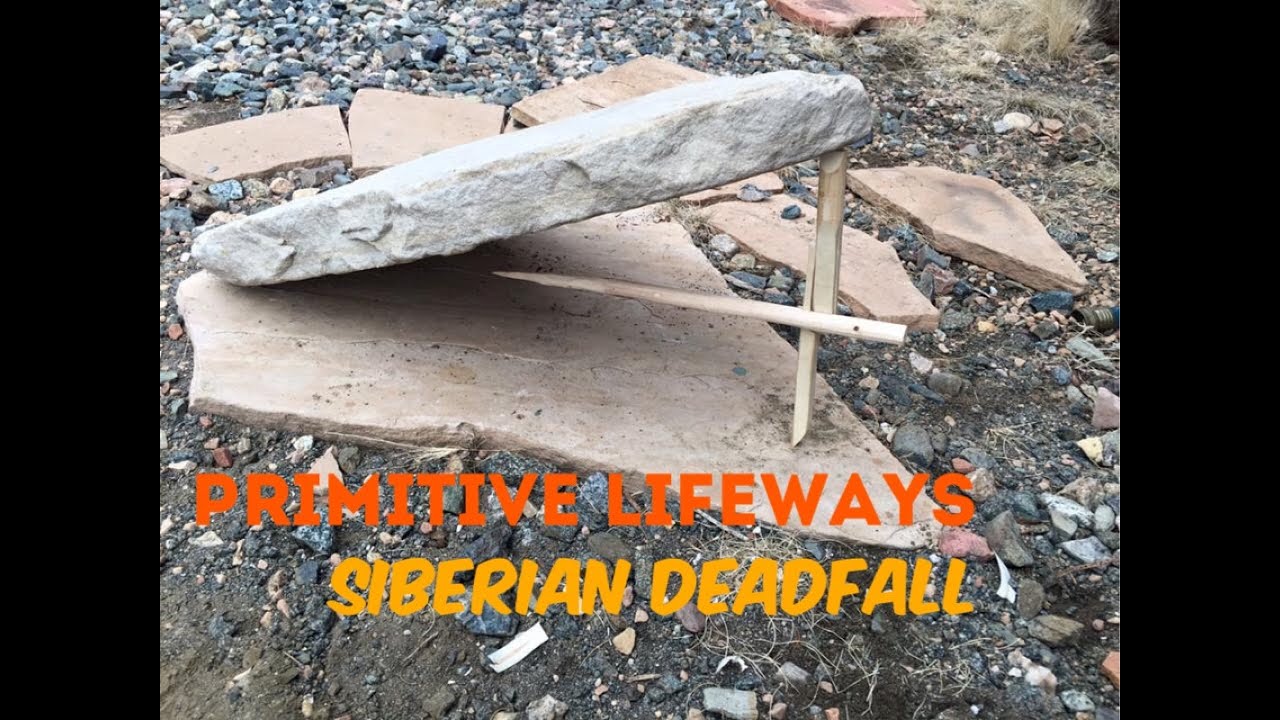 Siberian Deadfall Trap - YouTube