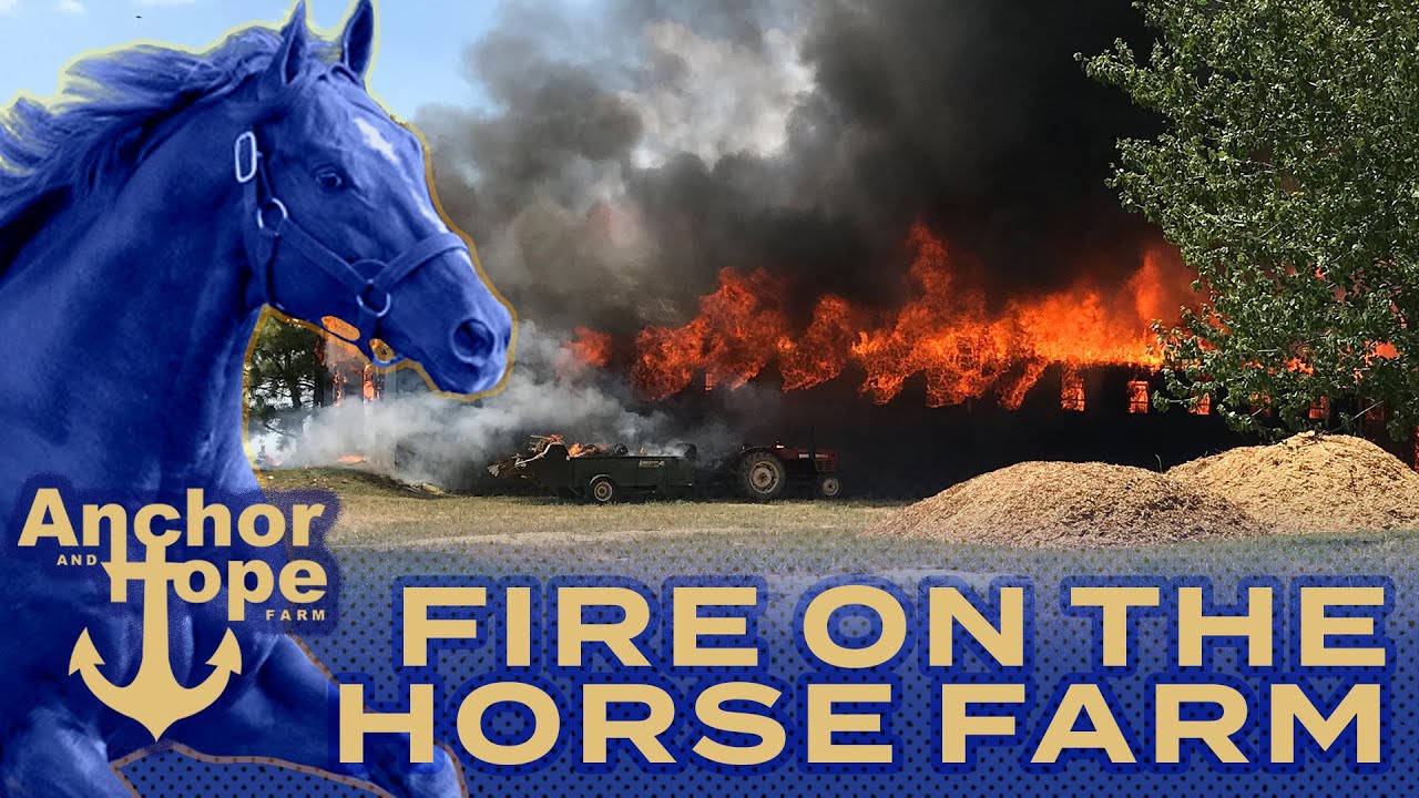 The Barn Fire at Horse Farm: Heather saves lives! - YouTube