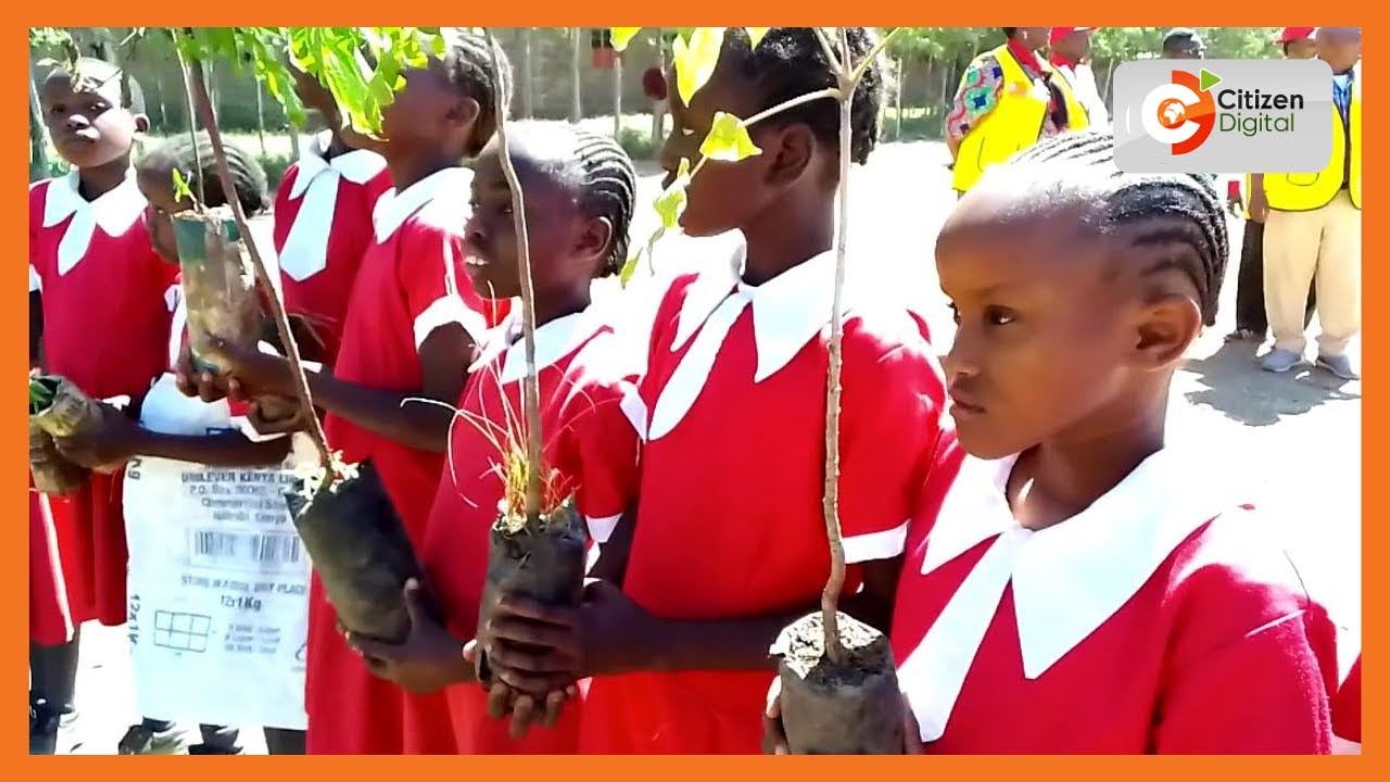 Equity Bank finances tree planting campaign - YouTube