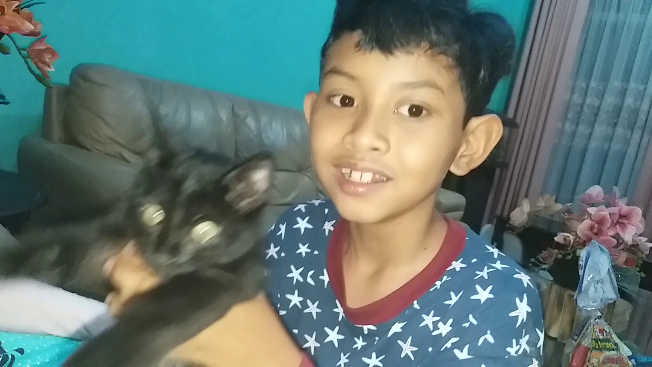 Di Rumah Sepupu Main Bersama Kuching Youtube
