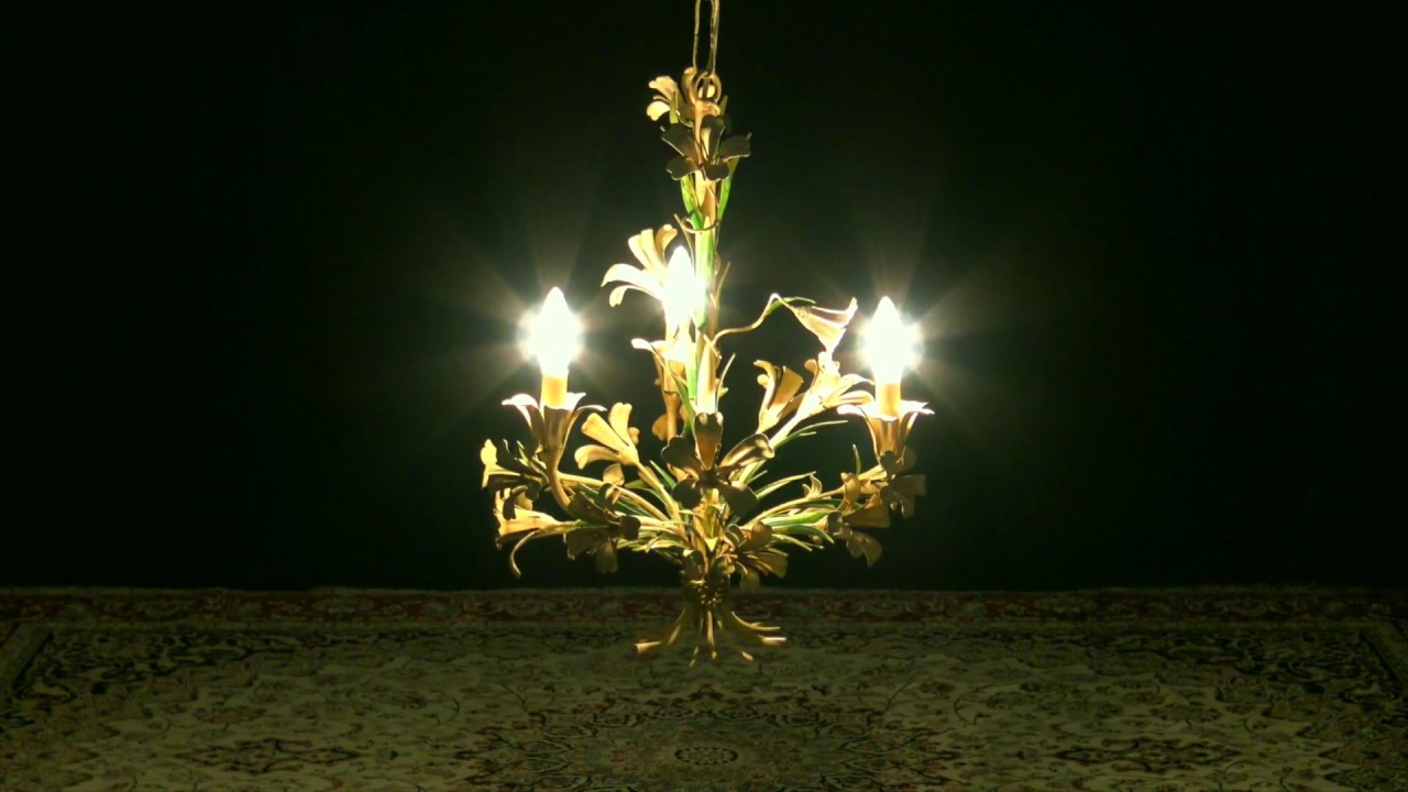 COYOTE MILK STORE - EVIL LUCK - YouTube