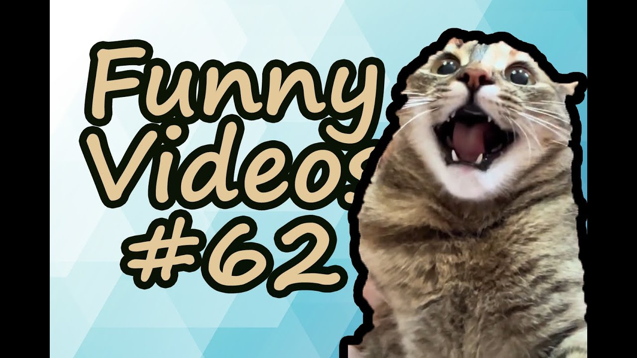 🔥FUNNY VIDEO COMPILATION COUB #62 | SPICY MEME HOUSE🔥 - YouTube