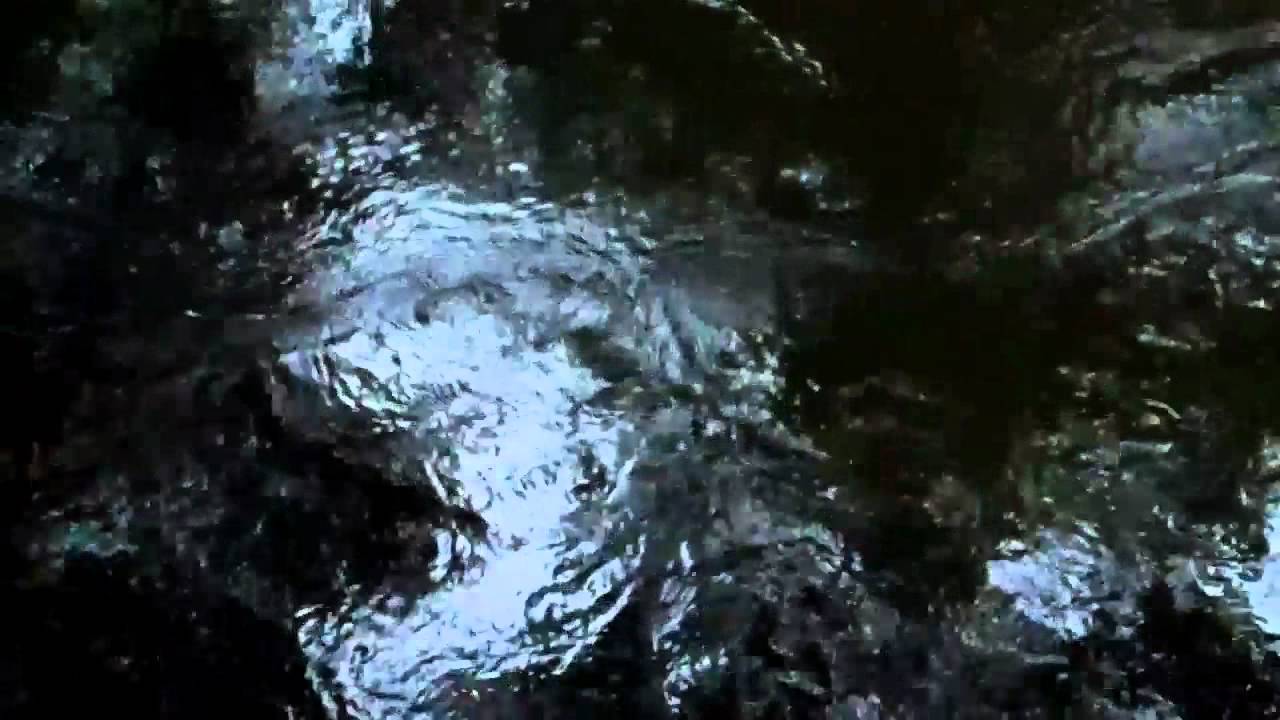 salmon on rapala - YouTube