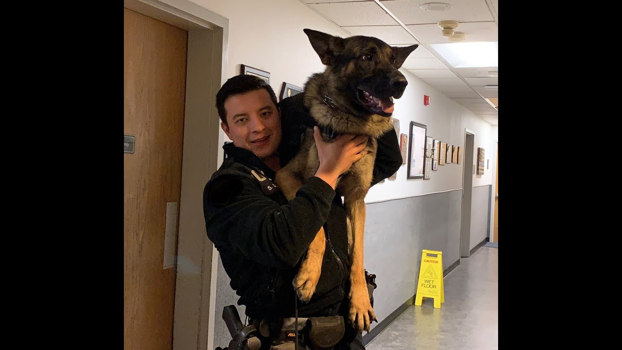 Meet Officer Zacharia and his K9 Partner Rico - YouTube