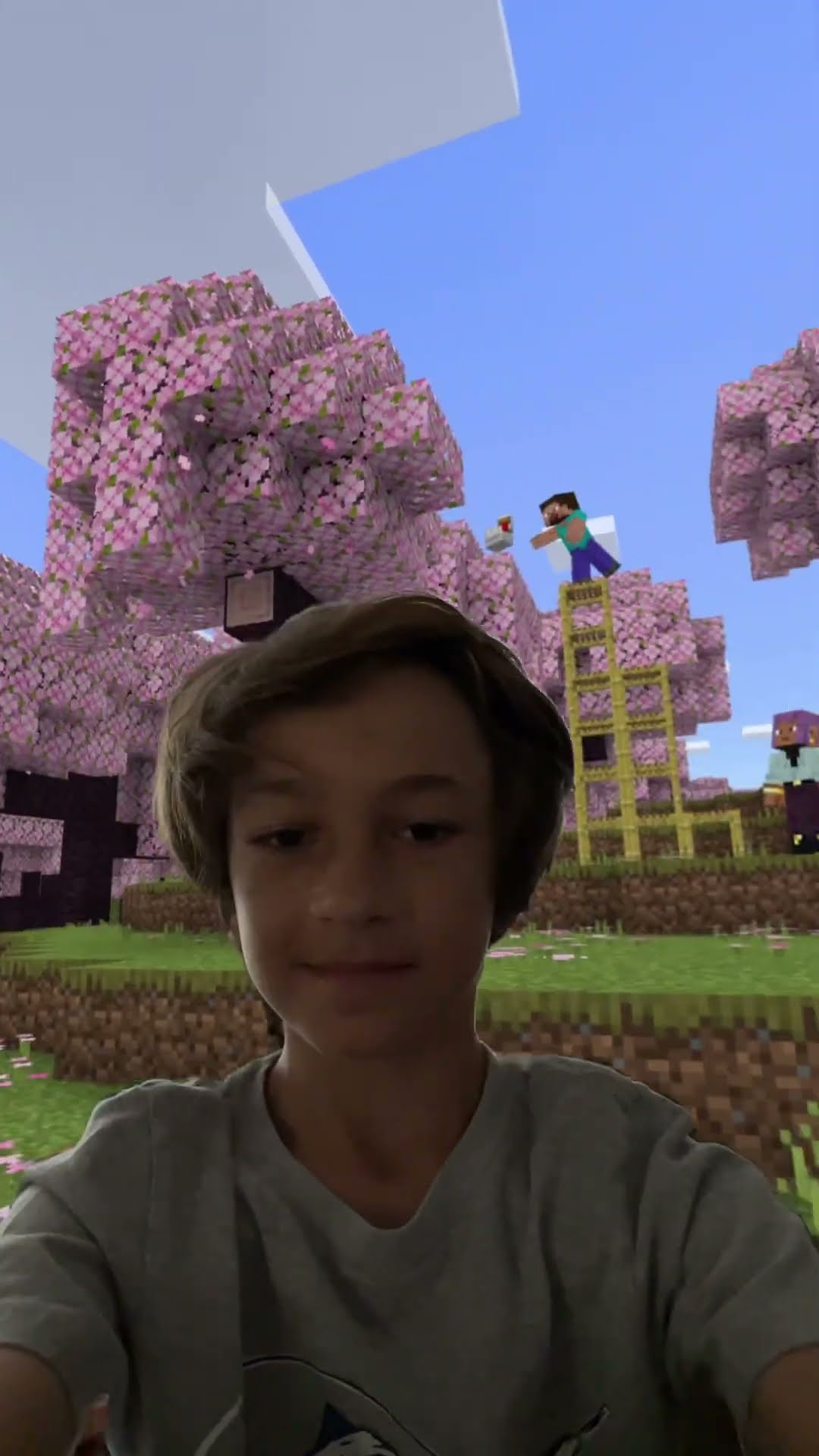 Bro Hit The Minecraft Server With Whoever Moves First Is Gay💀 Trending Minecraft Foryou Fypシ