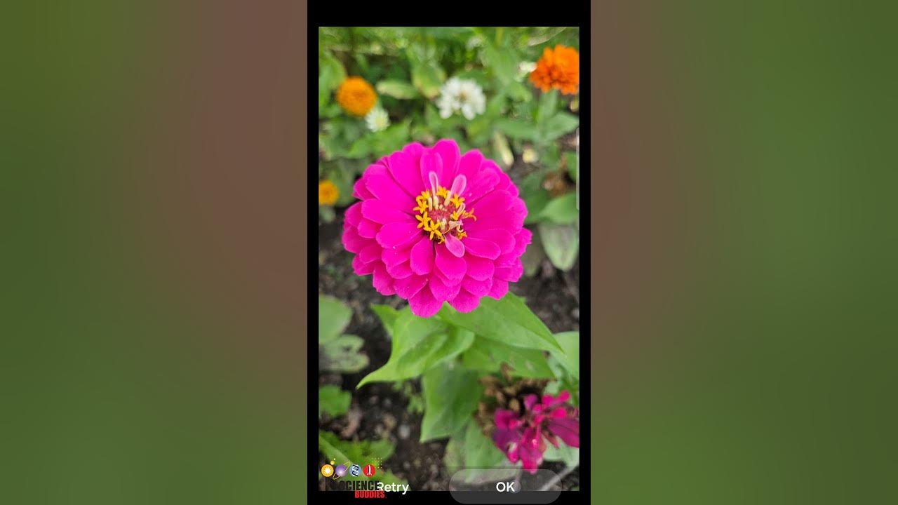 Identifying RGB pixel values and naming colors with MIT App Inventor | Science Project - YouTube