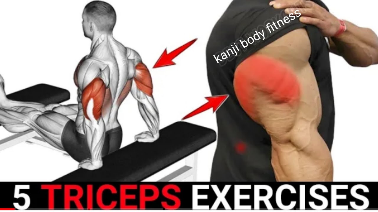 Close grip bench press | Trx tricep extension | 6 Perfect Triceps ...