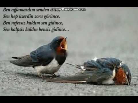 canım yanıyor 2008