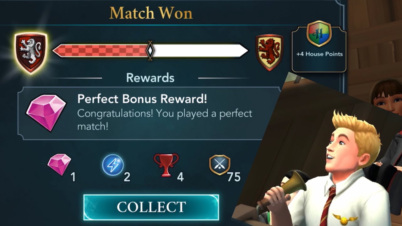 Keeper Perfect Score in Clean Sweep Quidditch! Harry Potter Hogwarts ...