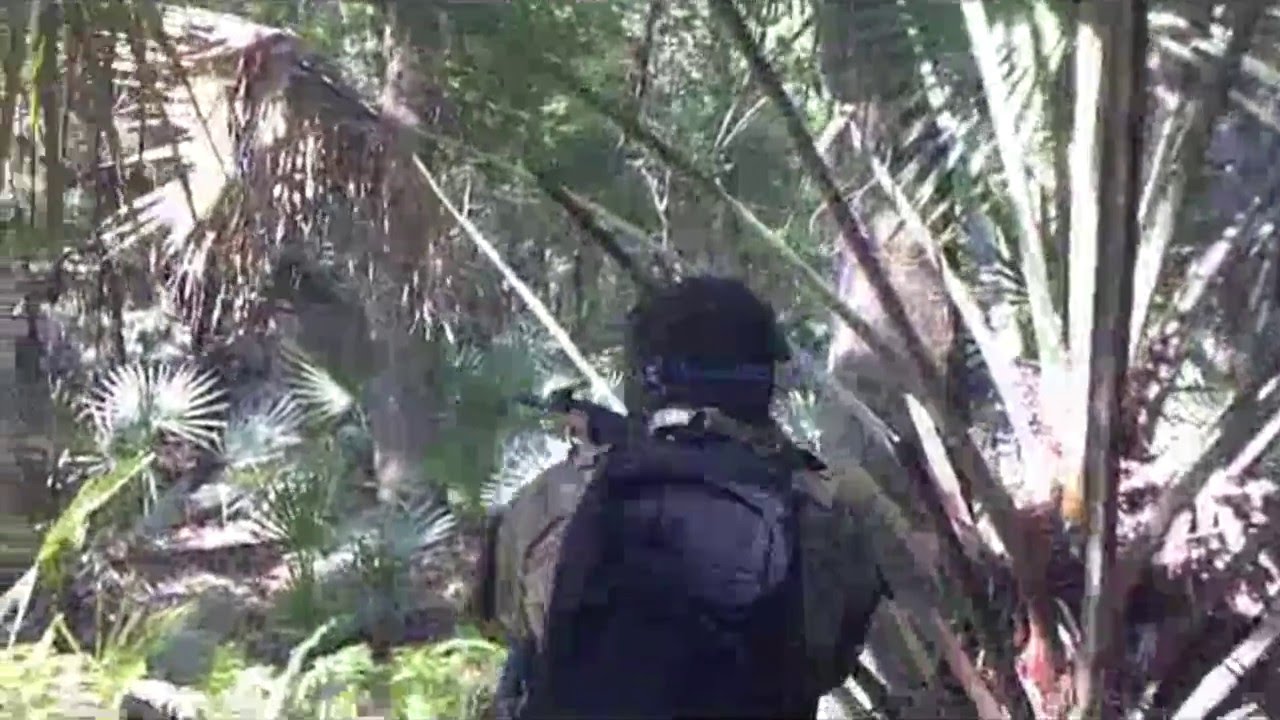 Raptor Attack Video - YouTube