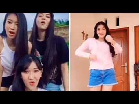 kumpulan cewe cantik bohay tik tok