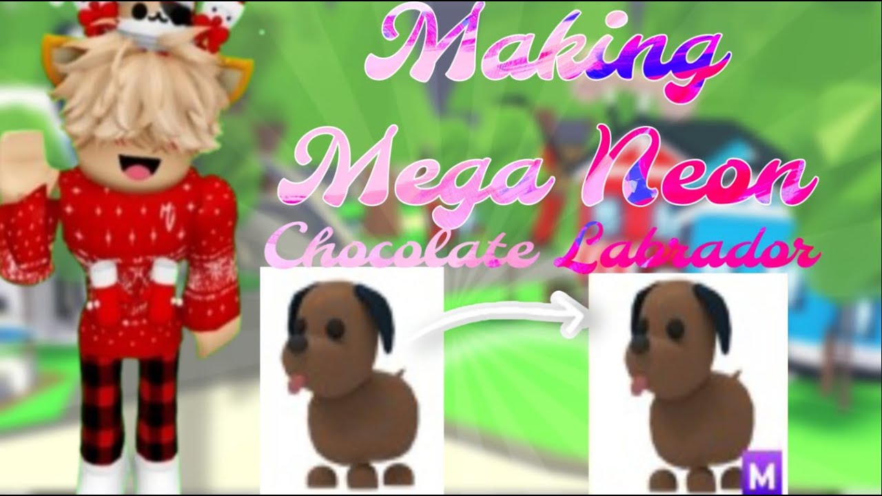 Mega Neon Chocolate Labrador RGB Box TRADED MEGA OSTRICH W/F/L? - YouTube