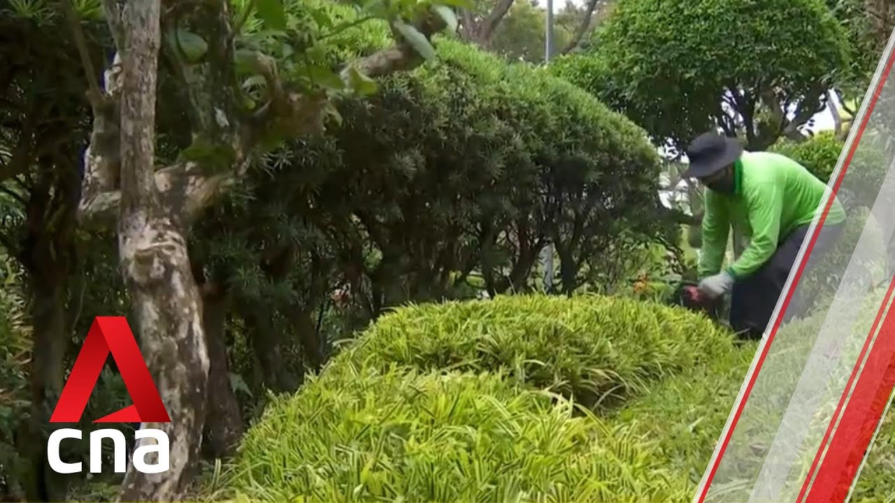 Landscape workers will see pay increase from 2023 under progressive ...