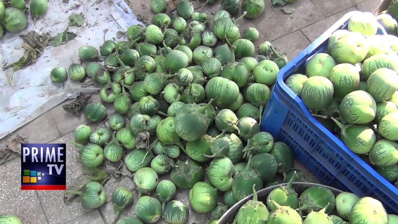 Mattu gulla Part 1 - YouTube