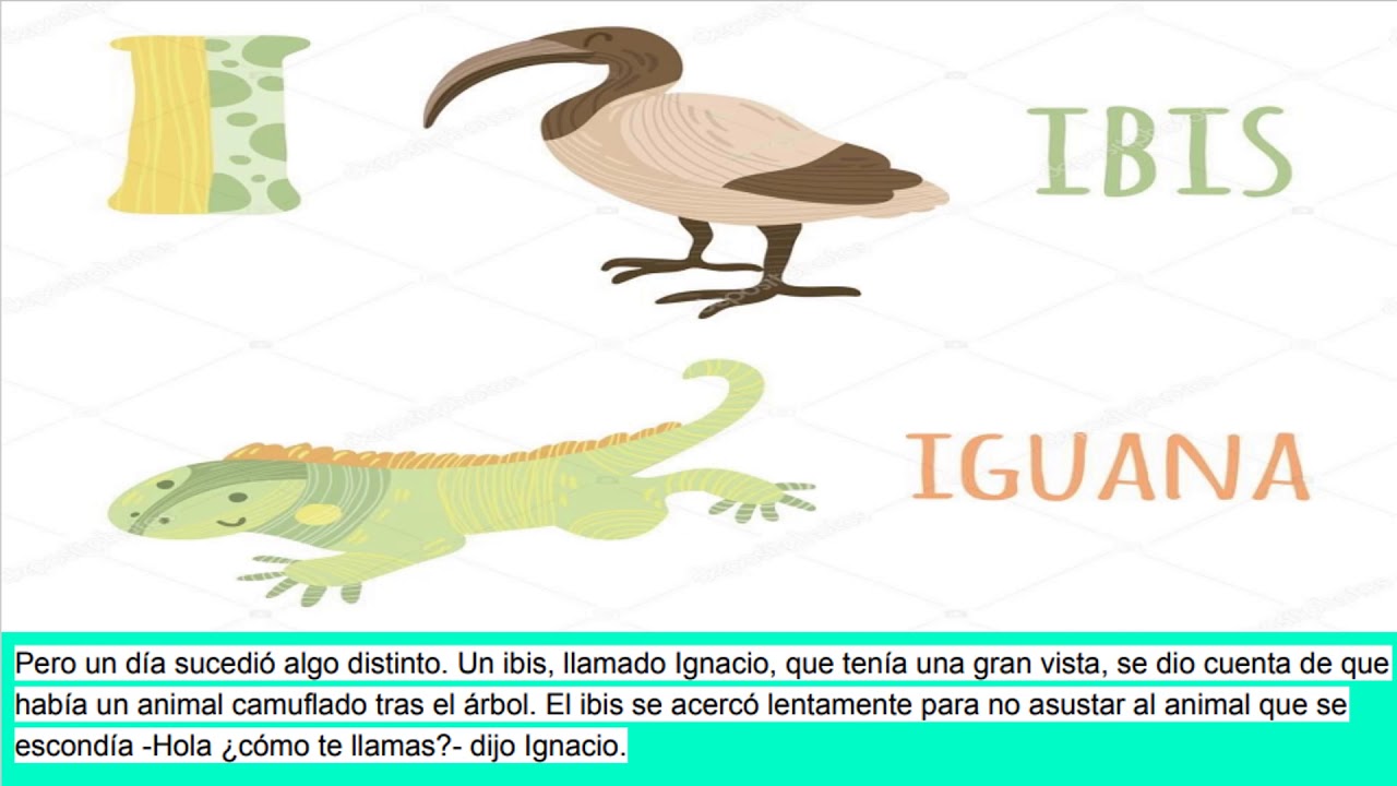 LA IGUANA INES Y SU NUEVO AMIGO - YouTube