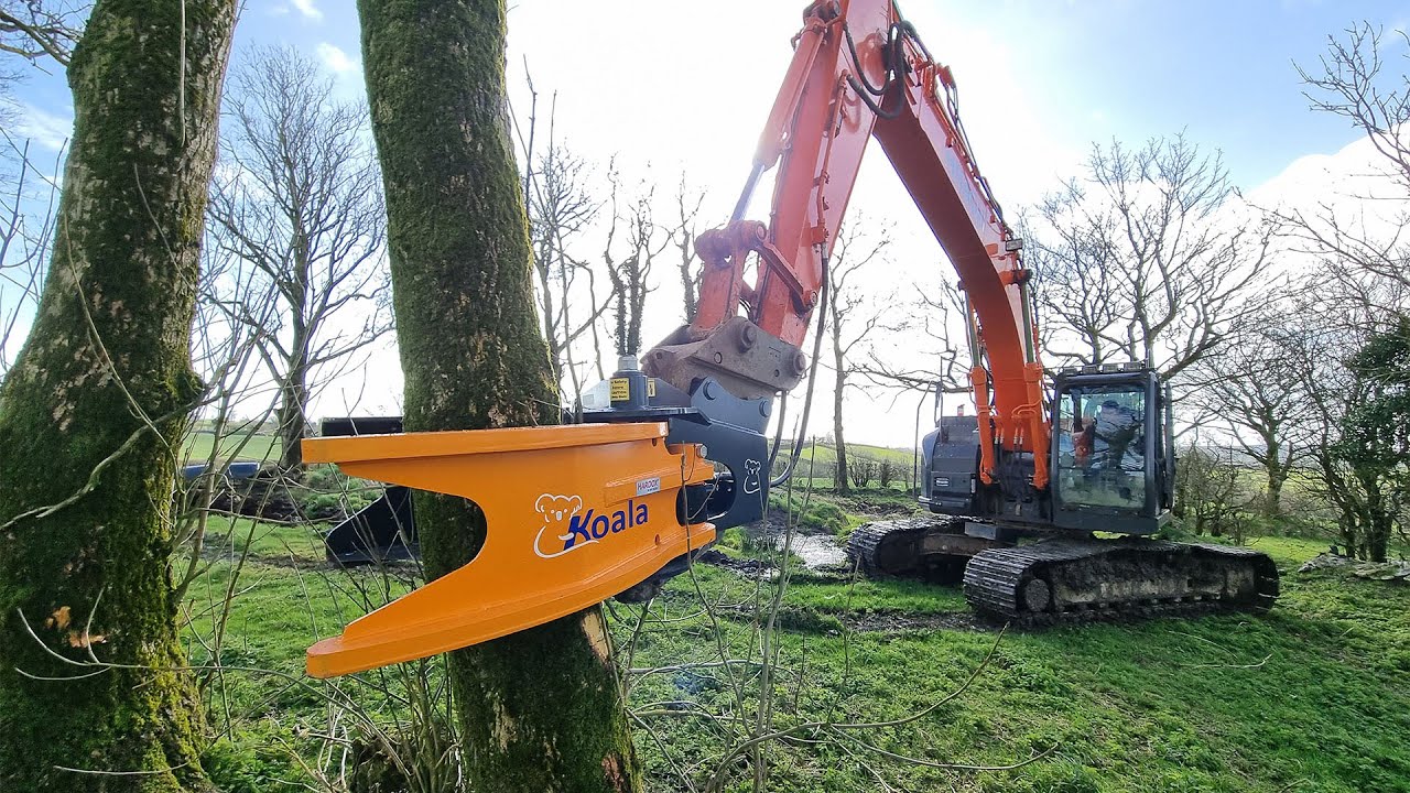 Koala 550 Shearing Tree Branches | MDE Machinery - YouTube