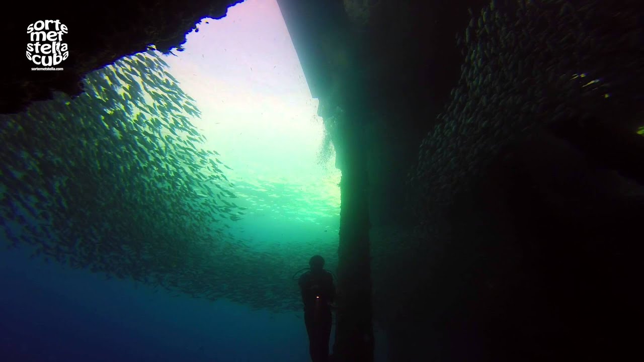 Hovering under the Salang Jetty, Tioman Island - YouTube