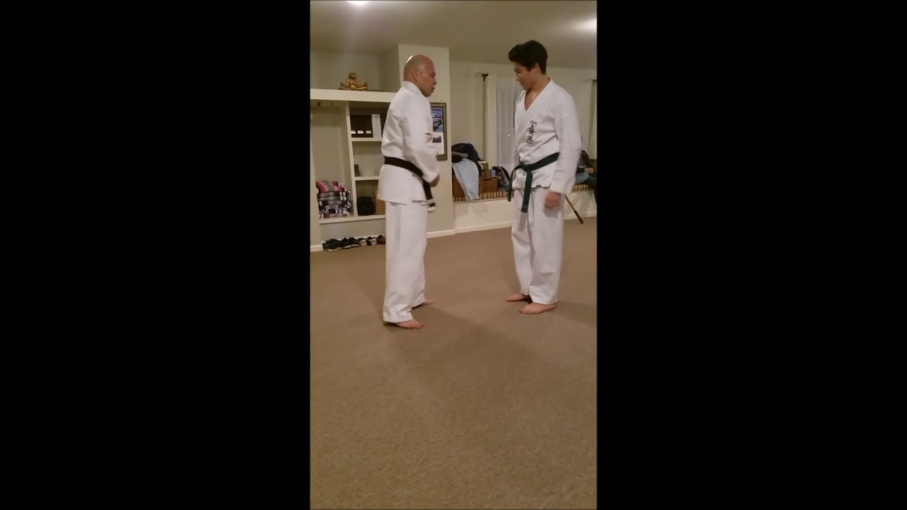 Erik Palmer Uechi Ryu Karate Brown Belt Test. Maurice Soque Sensei ...