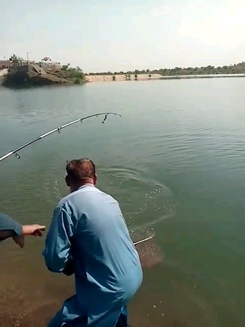 wow catching big China fish by rod // China fish // 2024 - YouTube