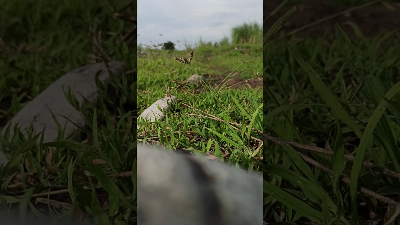 🚴exploring mangaldan, pangasinan - YouTube