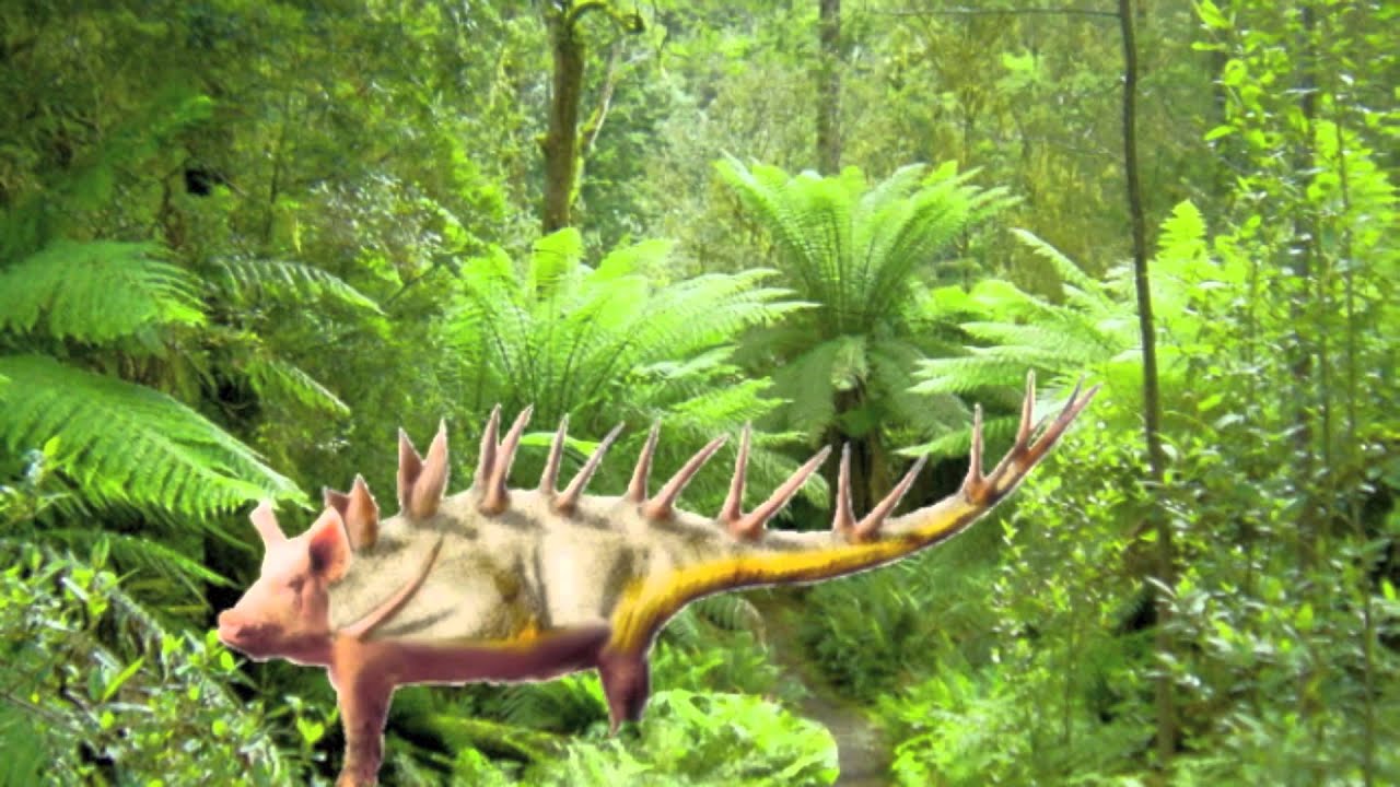 Rare Pigasaurus photographed - YouTube