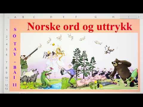 SỔ TAY - bài 11 / bài cuối: Norsk ord og uttrykk - Thành ngữ - YouTube