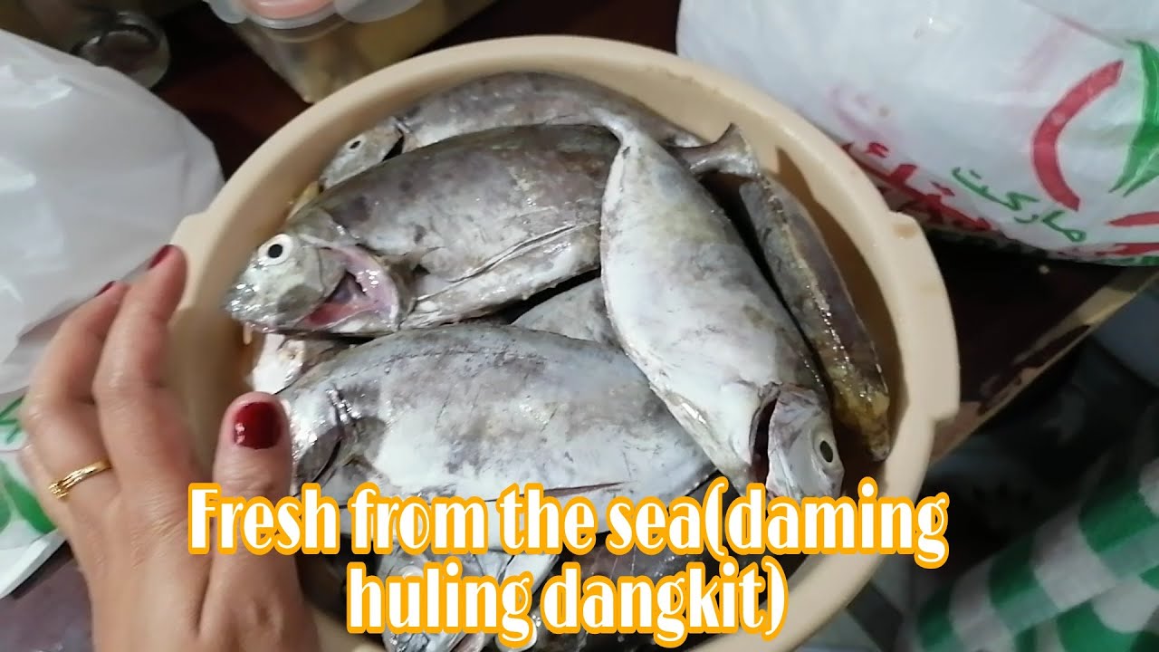 fresh from the sea (danggit) @MarghaVlogsTV - YouTube