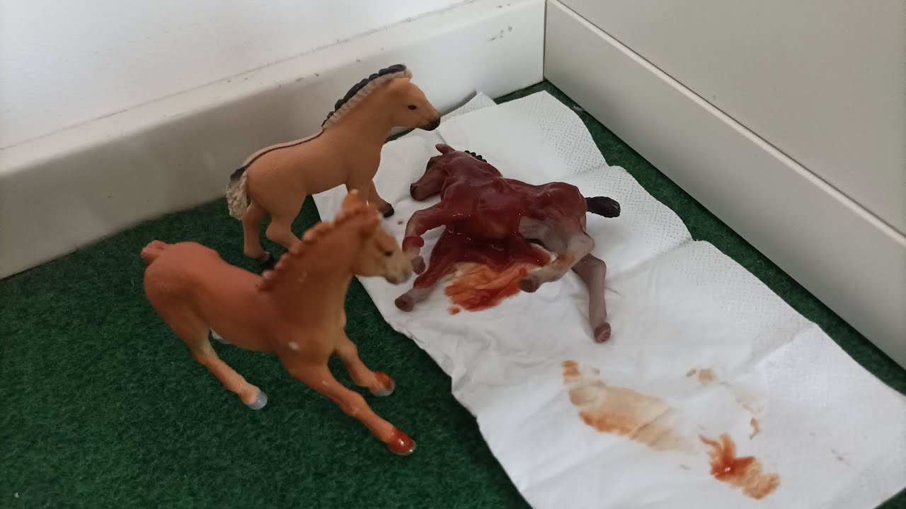 die Fohlen wg Staffel 1 Folge 2 😃😃😃😄 - YouTube