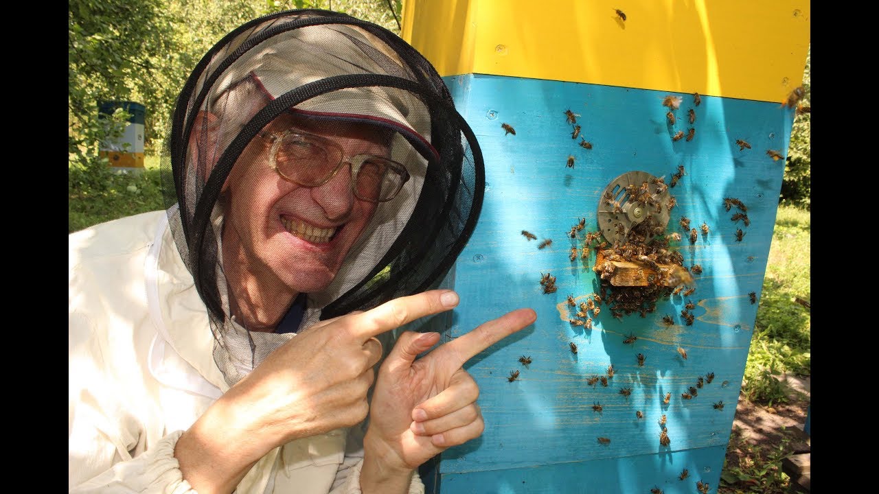 Innovative Ukrainian Beehive of Vasyl Priyatelenko. Number One! - YouTube