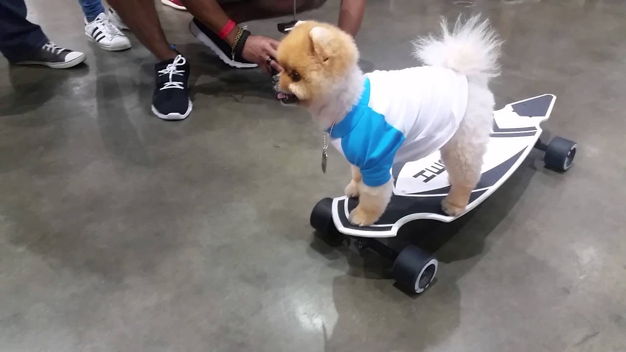 OMG! Jiff at World Of Dance 2015 in LA skateboarding! #JiffPOM #jiff ...