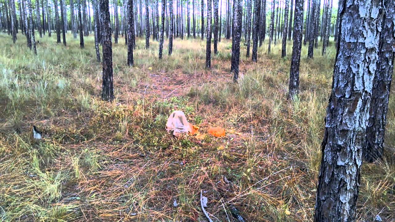 Redneck Pumpkin Pie Prep - YouTube