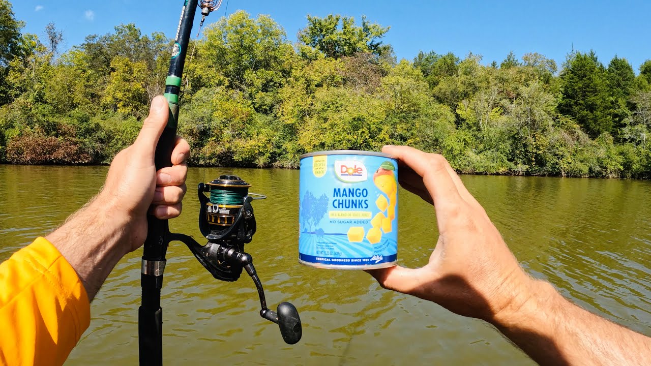 4 Hours of RAW and UNCUT Kayak Catfish and Carp Fishing with Mango ...