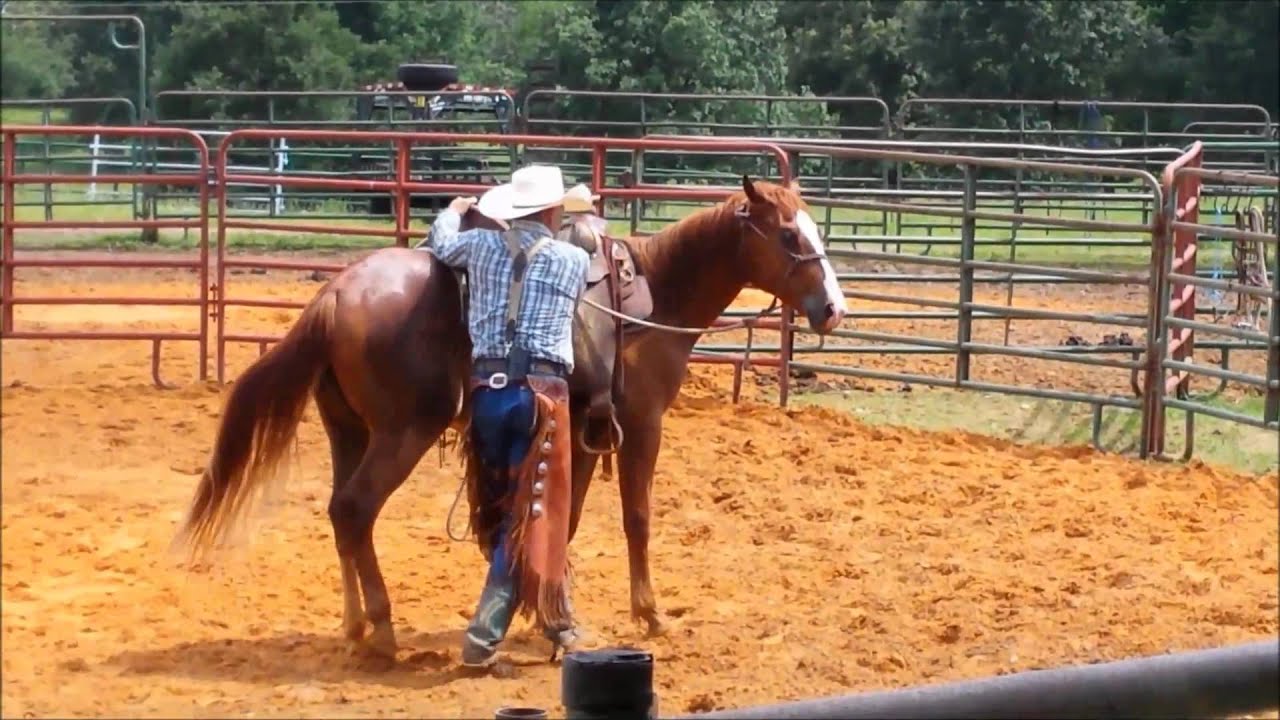 Colt Starting Demonstration - YouTube