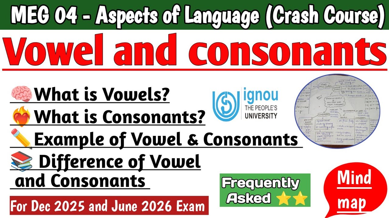 Vowels & Consonants Explained | Difference Between Vowel and Consonant ...