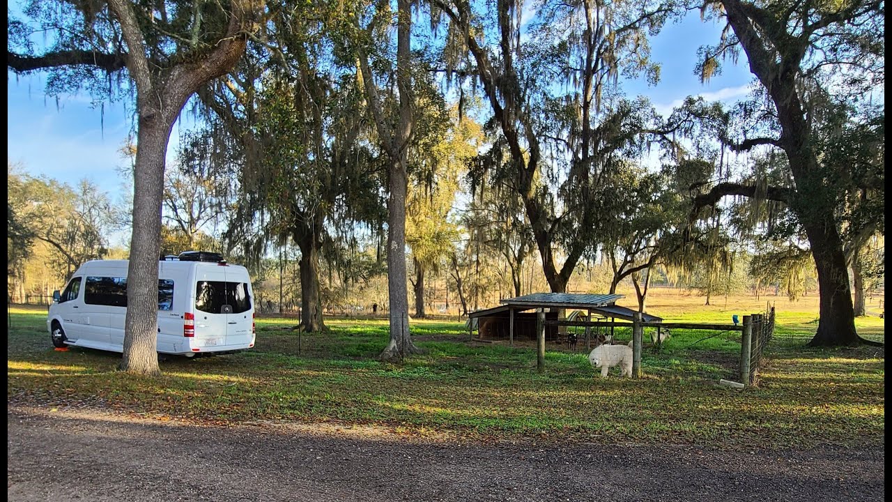 Leaving the Florida goat farm 2021 - YouTube