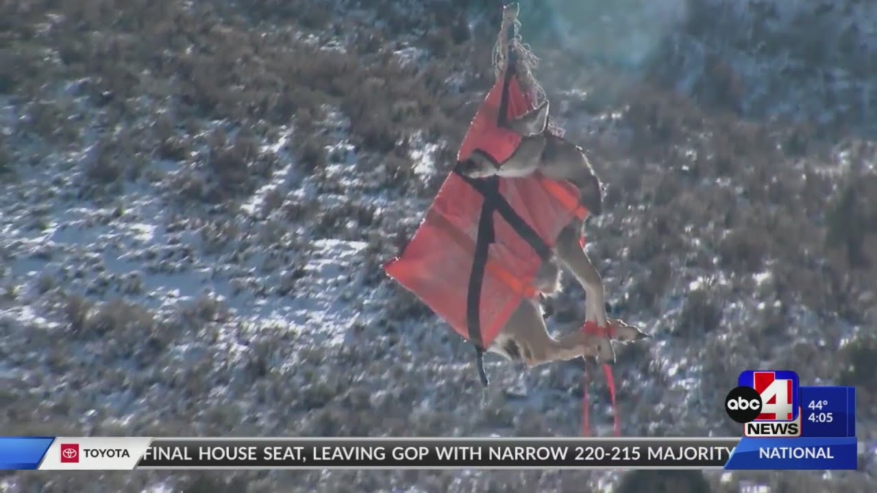 Why you might've seen flying deer in Cache County - YouTube