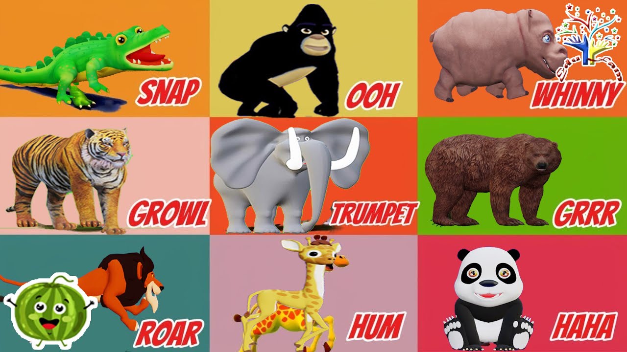 The Animal Sound Songs AE2WA3 | Animals Sing Everywhere || Kids Song ...