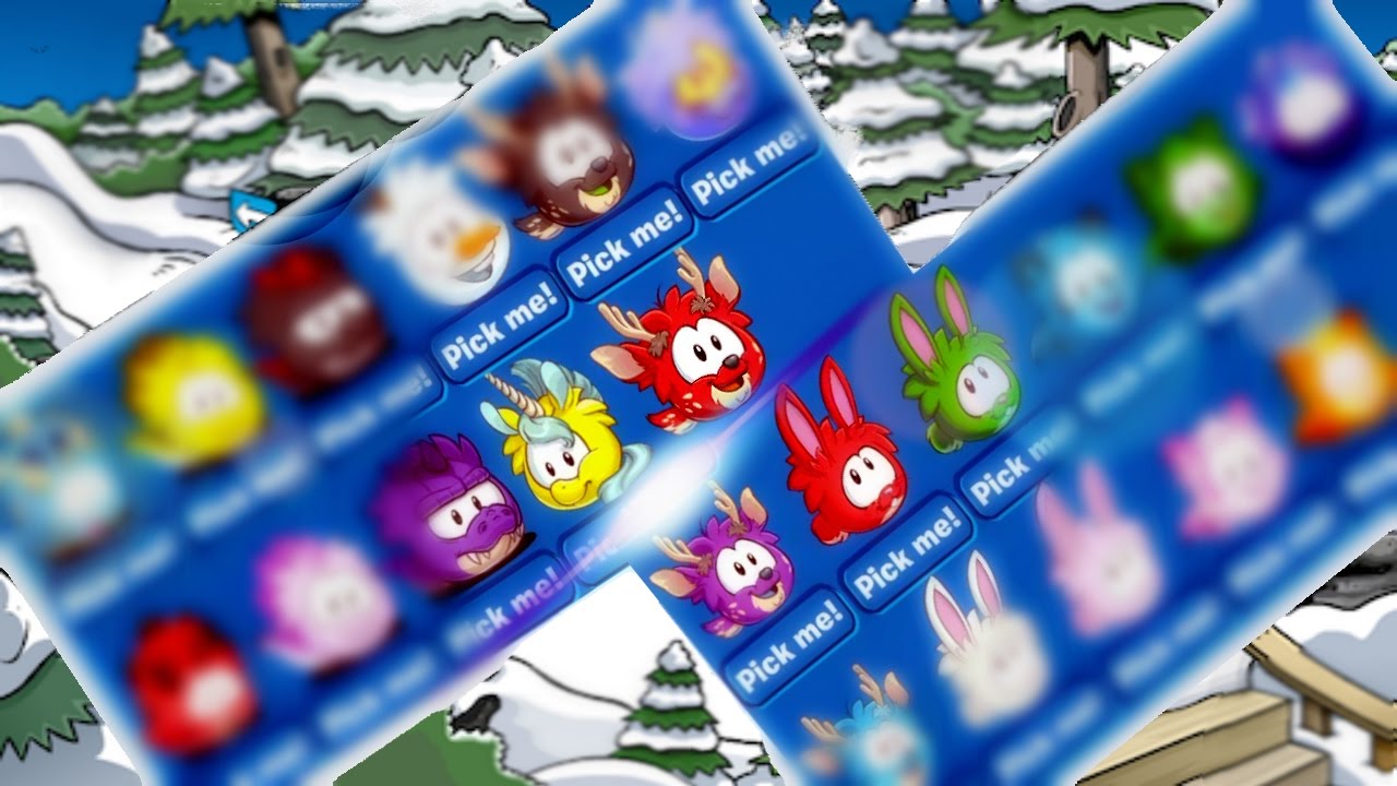 COMO CONSEGUIR TODOS LOS PUFFLES ESPECIALES DE CLUB PENGUIN GRATIS ...