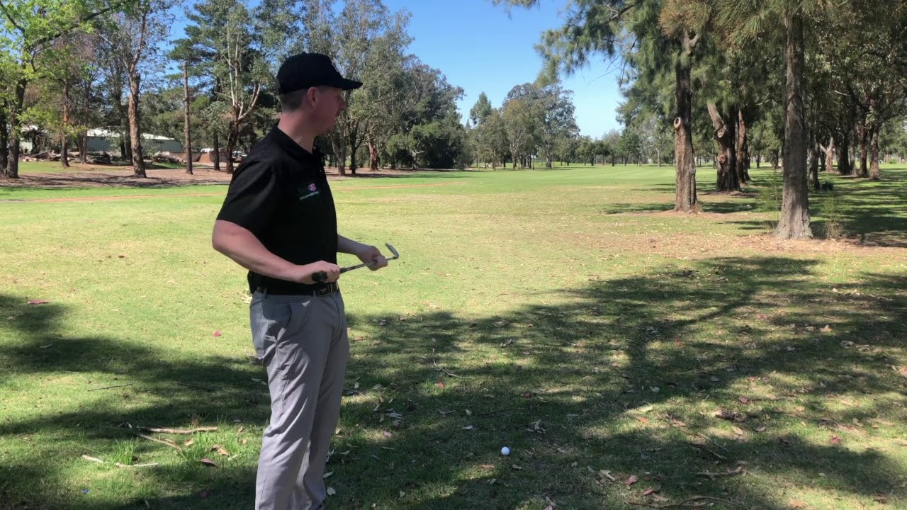 Recover from tree trouble with Blake Dowd - YouTube